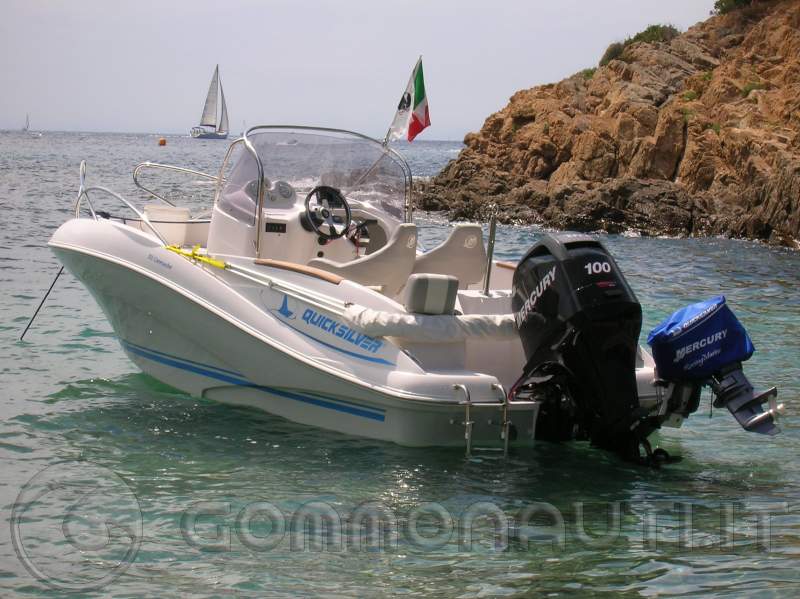 BARCA QUICKSILVER QUICKSILVER COMMANDER 555 + MERCURY MERCURY 100 100 HP