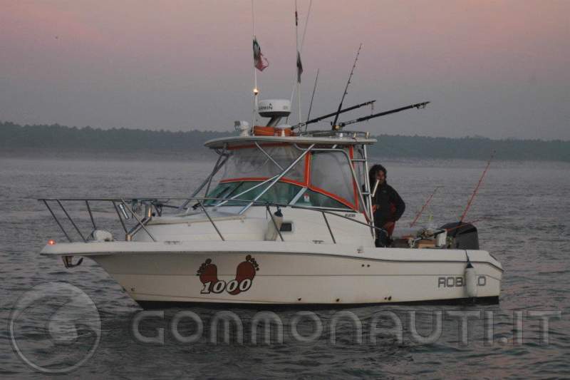 BARCA ROBALO R235 + YAMAHA F300 300 HP