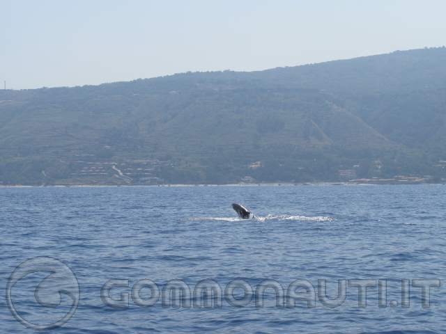 COSTA DEGLI DEI...CHE MERAVIGLIA...