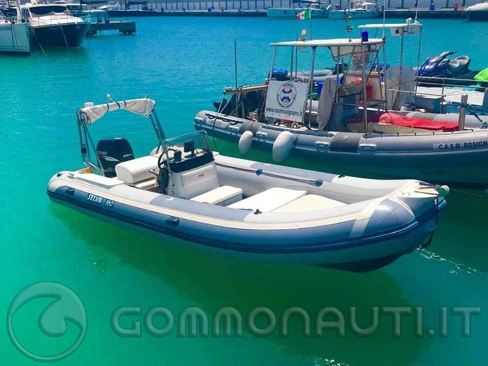 SELVA 560 CON SUZUKI 115