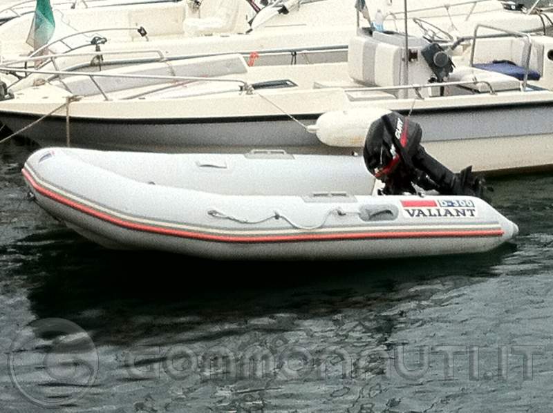 VENDO VALIANT D300 MOTORIZZATO MERCURY E COMPLETO DI DOTAZIONI