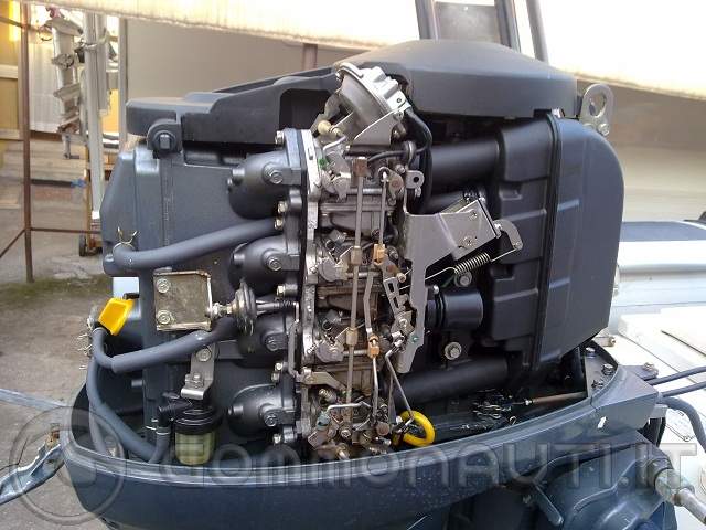 VENDESI SELVA 5MT + SELVA 40CV CON CARRELLO