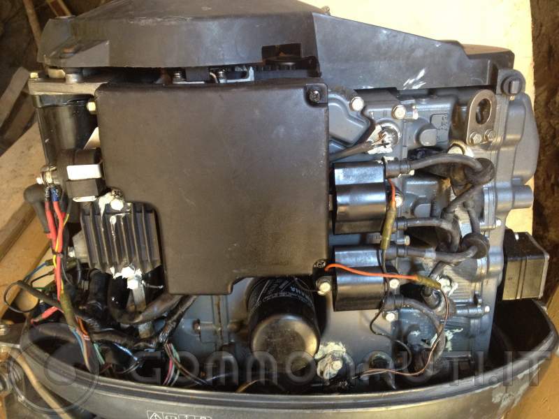 VENDO FUORIBORDO SELVA BARRACUDA 40/50 + REGALO GOMMONE MARINER 460 [PAG. 3]