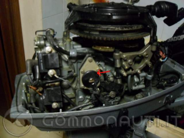 MOTORE 2 TEMPI EVINRUDE 25 CV DEL 1980 [GIRANTE]