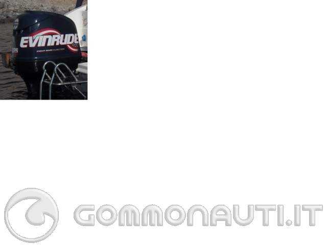 EVINRUDE 225 H.O. FITCH RAM DIRECT INJECTION