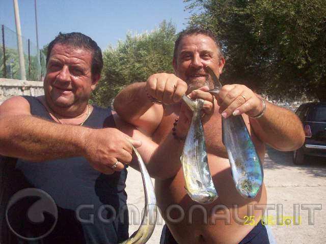 IL MIO GOMMONCINO FOTO SUZUMAR 390 + BATTUTA DI PESCA
