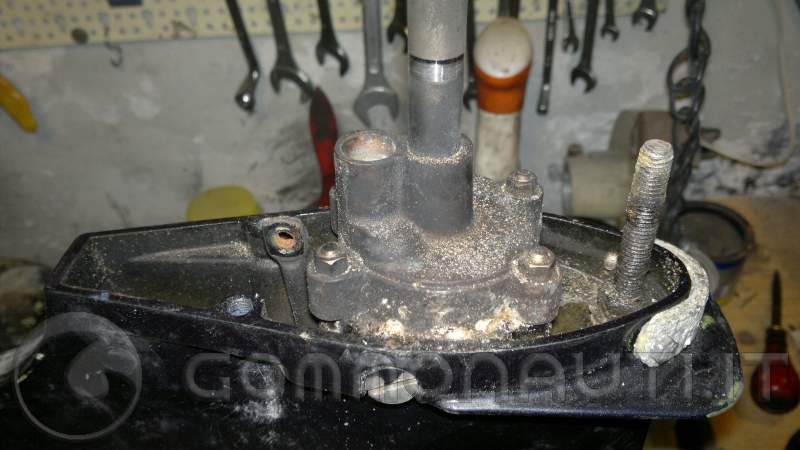 FOTO RELATIVE A: RESUSCITARE UN SELVA 15CV 2T