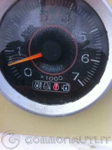 SPIA ANOMALIA JOHNSON 150 CV FICHT