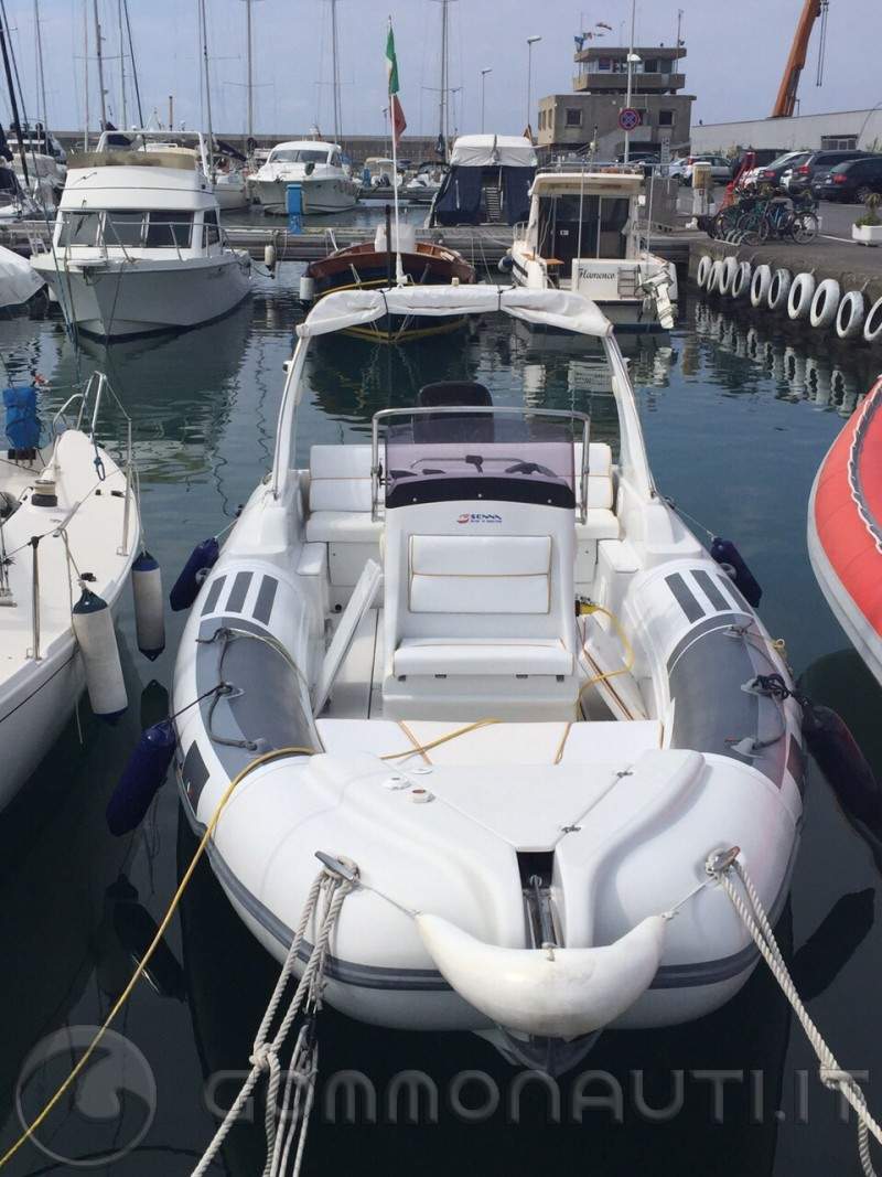 NUOVO ARRIVO, PHOLAS 23 + MERCURY 200