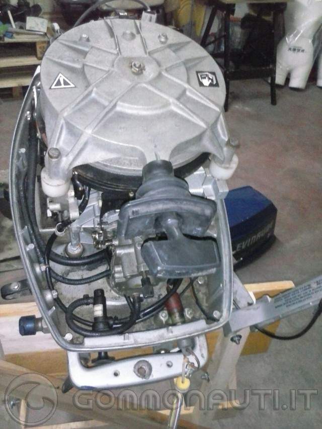 VENDO EVIRUDE 25 CV 2 TEMPI