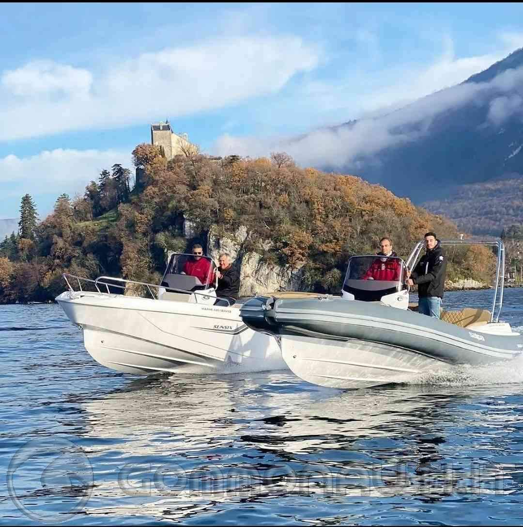 BARCA CON DELFINAMENTO, SUGGERIMENTI?