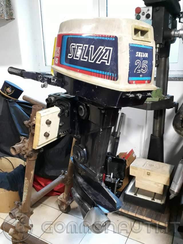 RESTAURO ED ELABORAZIONE SELVA 495 XS