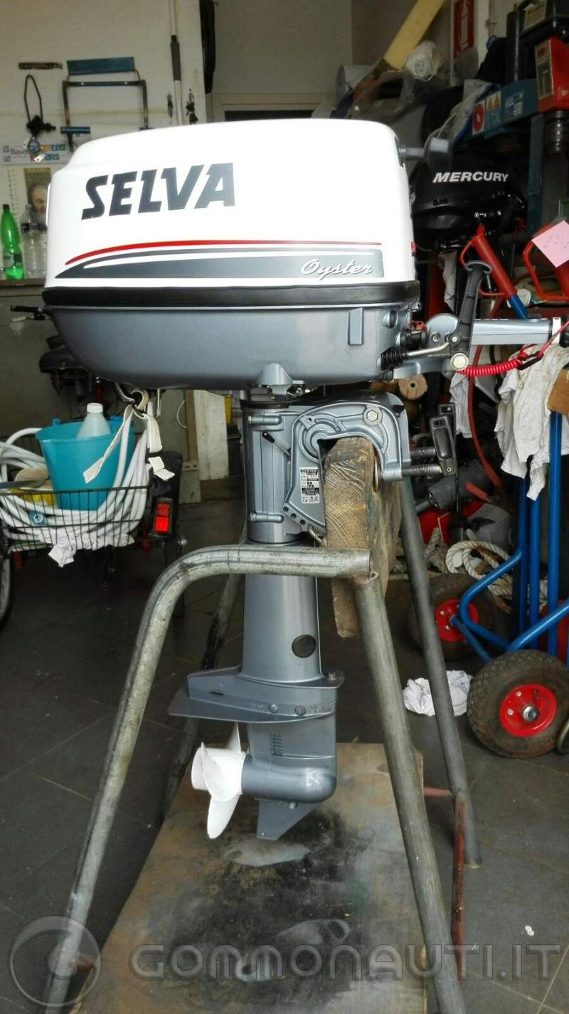 VENDO FUORIBORDO SELVA OYSTER 6 CV